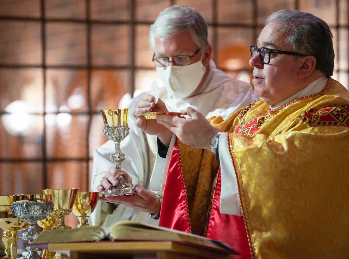 Homily for the Mass of First Profession of Sister Maria Sagrario, OCD ...