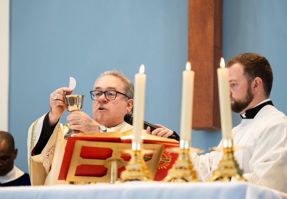 The Eucharist is the ‘source and summit’ of Christian life. What does ...